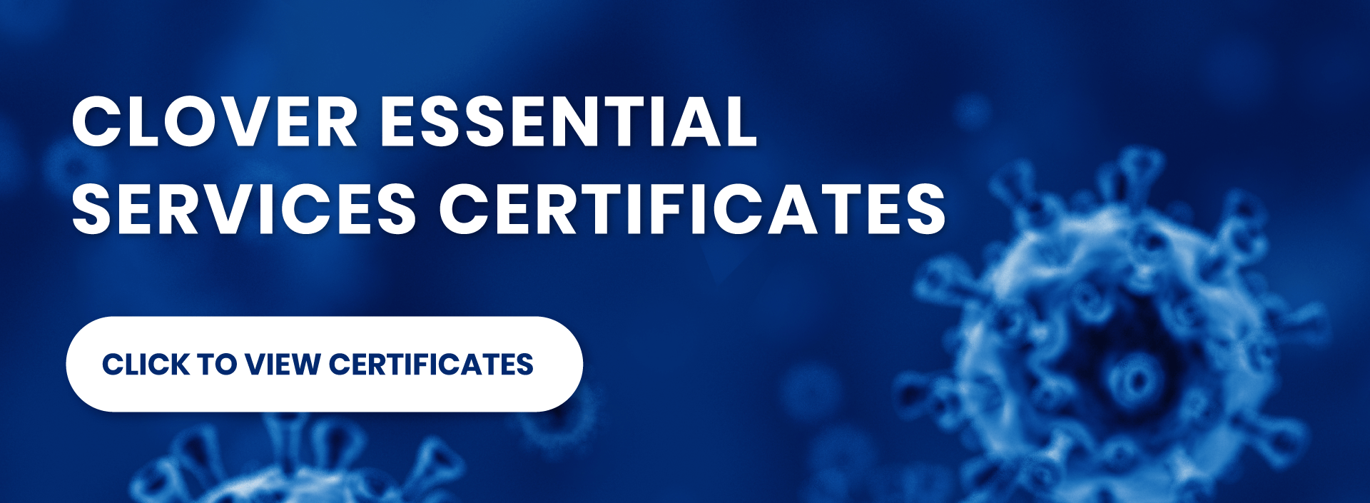 Clover Products Range, Brands & Recipes | Clover Corporate