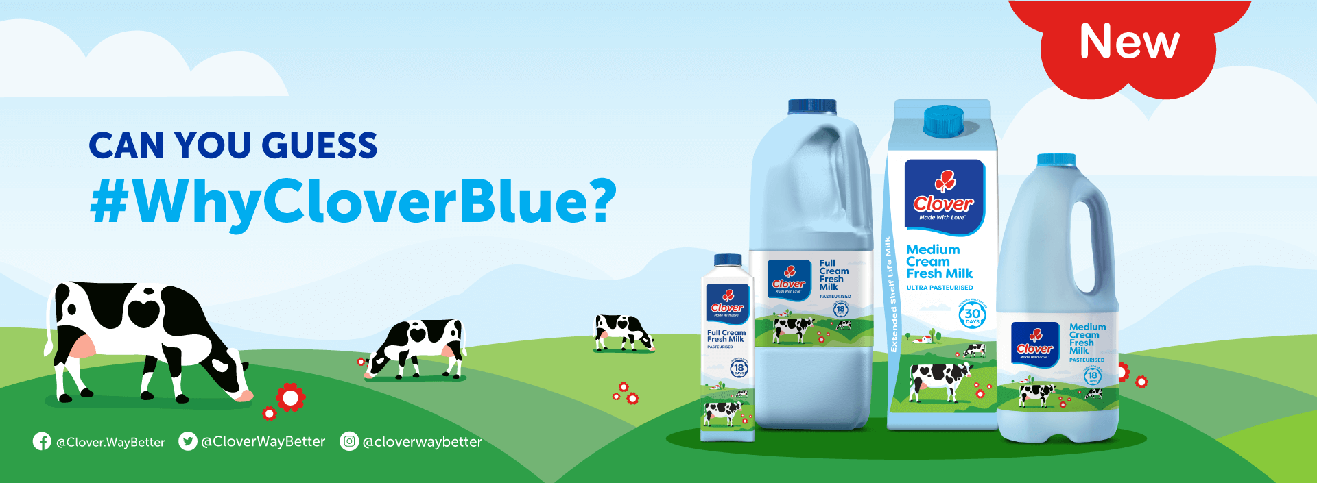 Clover Products Range, Brands & Recipes | Clover Corporate