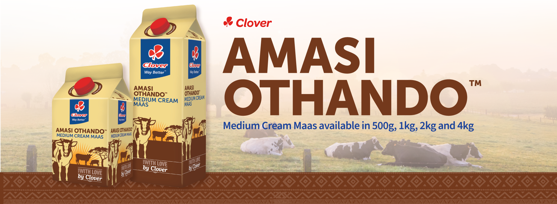 Amasi Archives | Clover Corporate