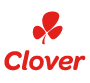 Our Group Structure | Clover Corporate
