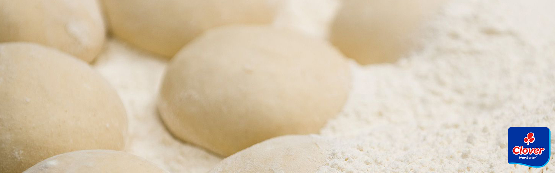 Clover Fonterra Ingredients (CFI) | Clover Corporate