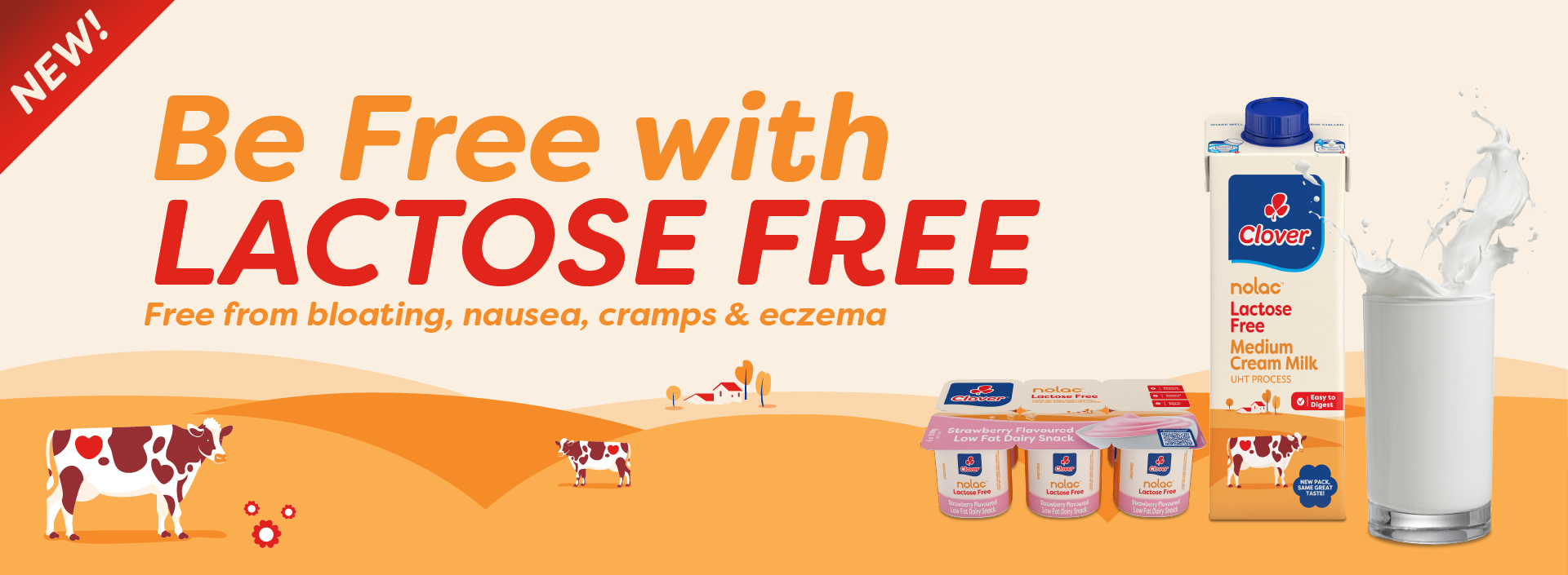 Nolac Archives | Clover Corporate